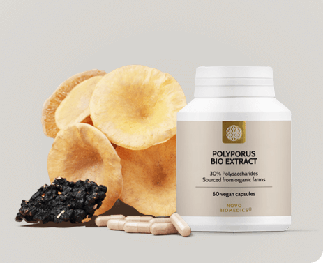 Ciuperci Medicinale - Reishi, Shiitake, Maitake, Cordyceps – Doctor Cip ...
